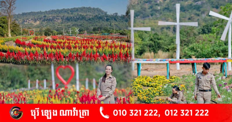 ទៅដល់សៀមរាបហើយ មិនបានទៅលេងសួនផ្កាដ៏ស្រស់បំព្រងមួយនេះ ...